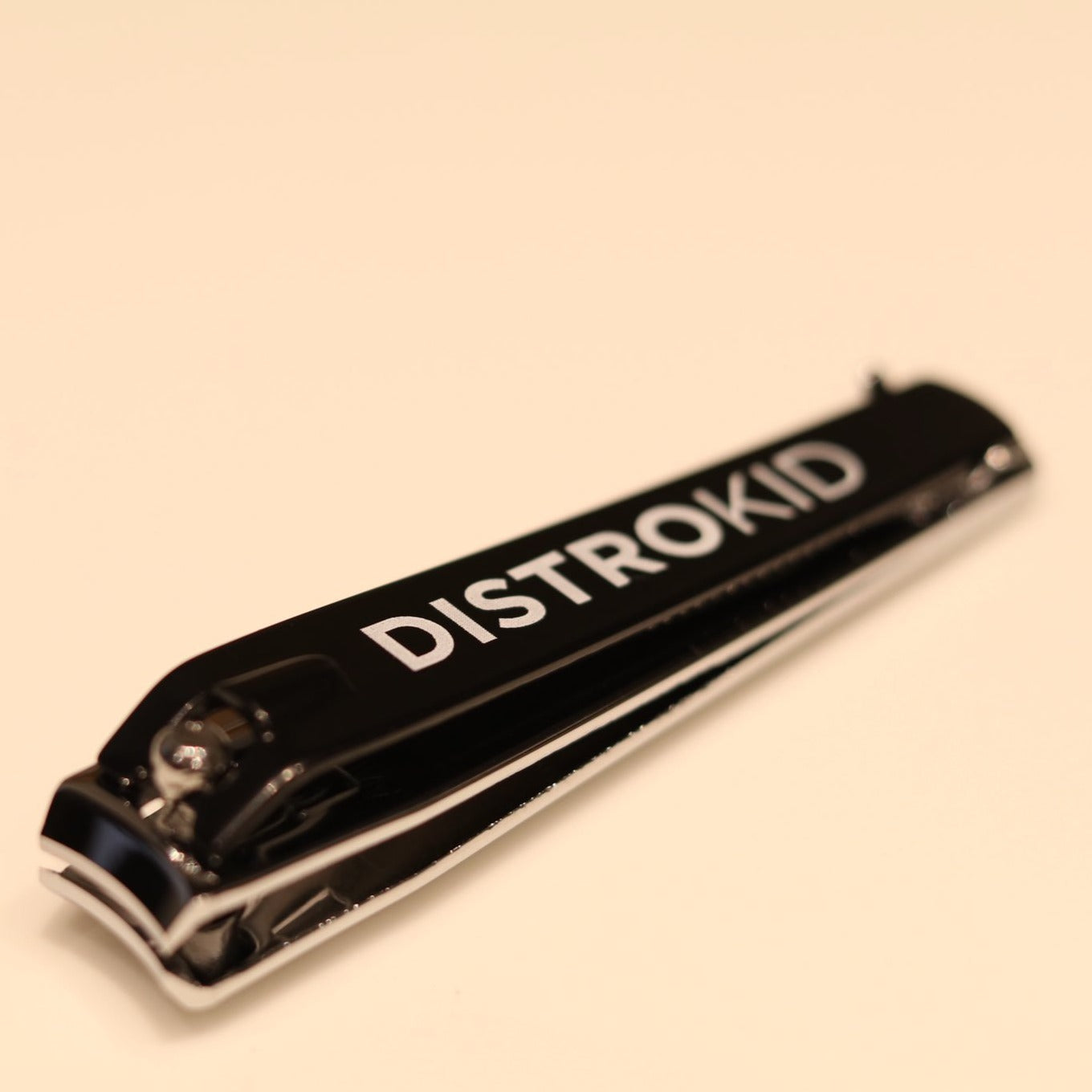 DistroKid Merch Store